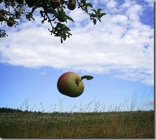 Nutwood Junction: The apple doesn’t fall far from the tree